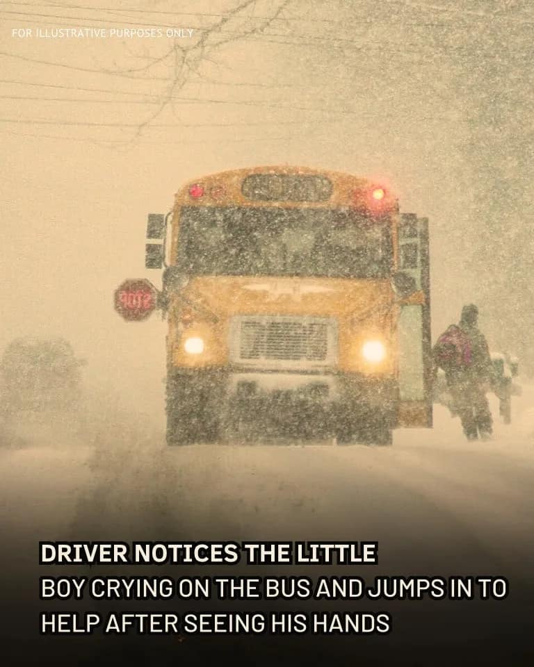 Driver Notices Little Boy Crying in School Bus, Jumps in to Help after ...